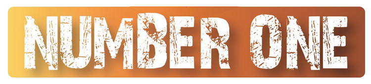 Number One – Tireurs sportifs, chasseurs, bienvenue dans notre univers